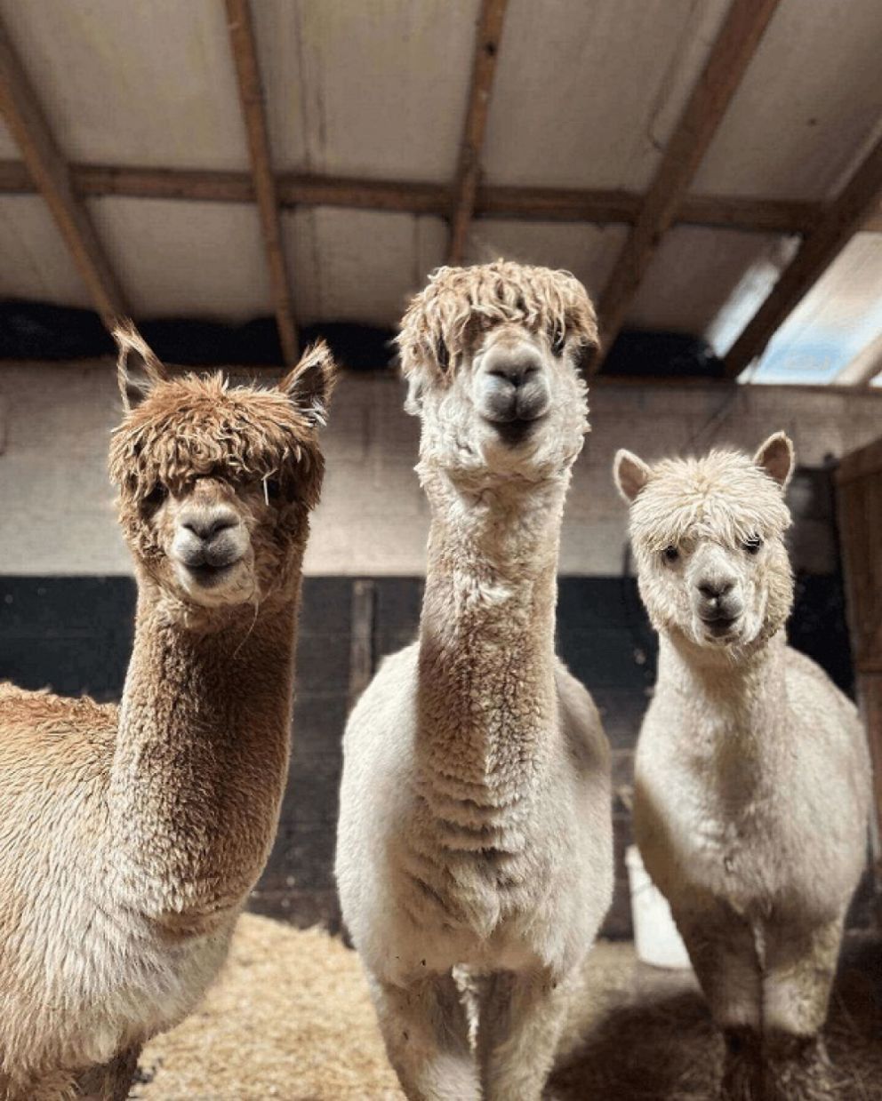 WELCOME TO CLONFERT FARM