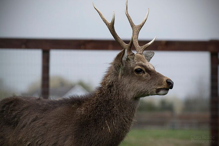 WELCOME TO CLONFERT FARM